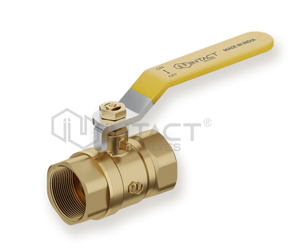Products – Intact Valves