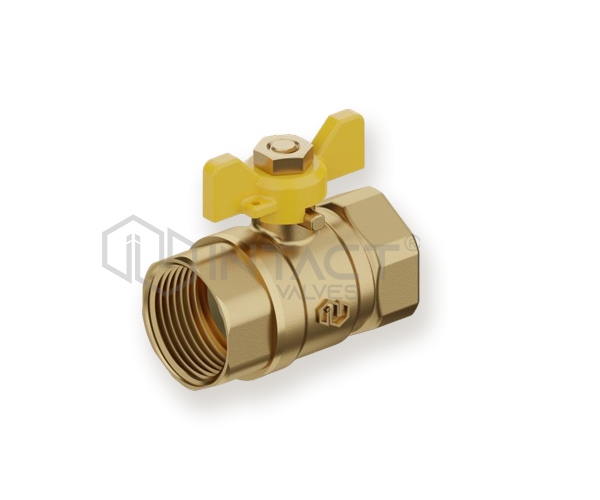 Products – Intact Valves