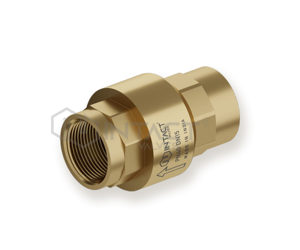 Products – Intact Valves